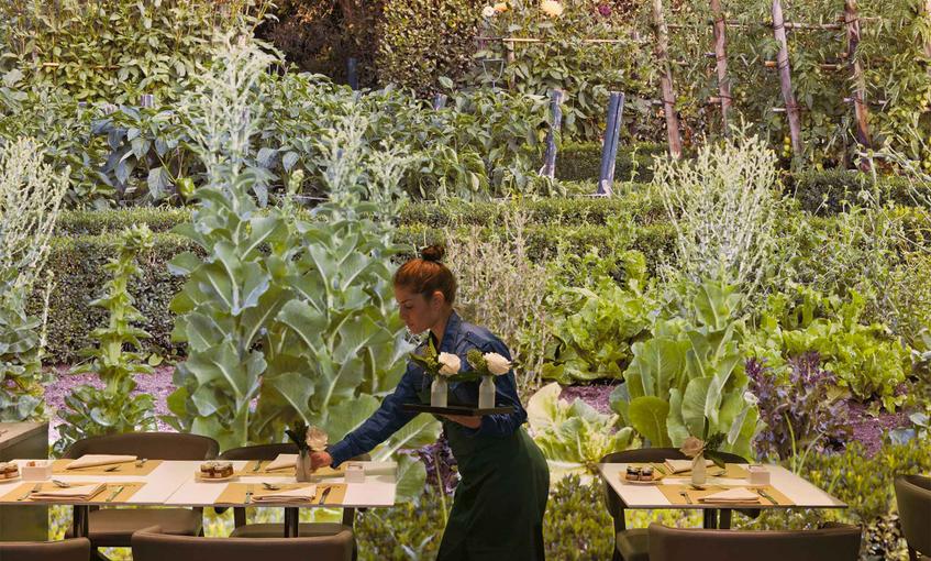 Organic food restaurants Milan | Starhotels Echo